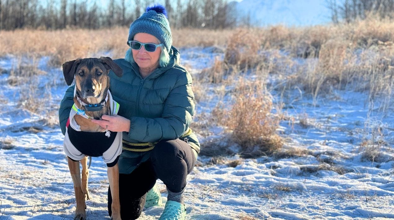 Mat-Su Sentinel | Mat-Su Valley News