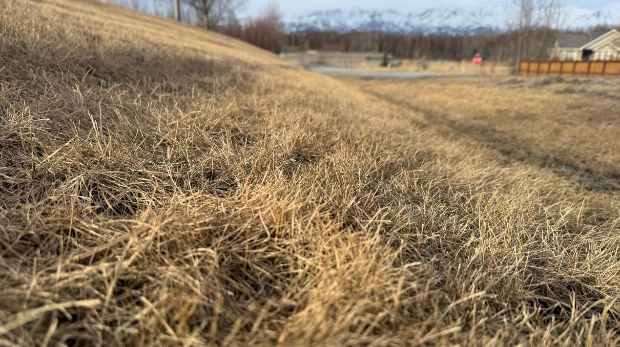 Mat-Su Sentinel | Mat-Su Valley Alaska News