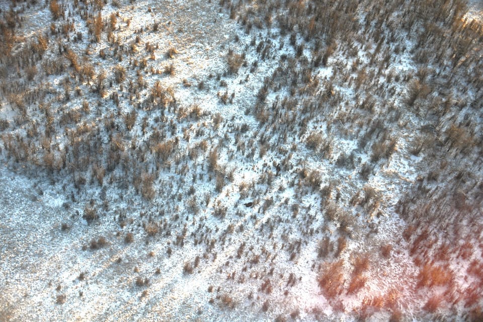 Mat-Su Sentinel | Mat-Su Valley News